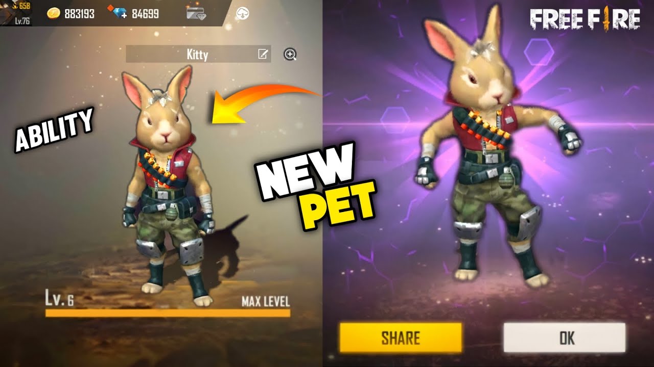 Pet Kelinci Baru Agent Hop Hadir di Advance Server FF September 2021 ...