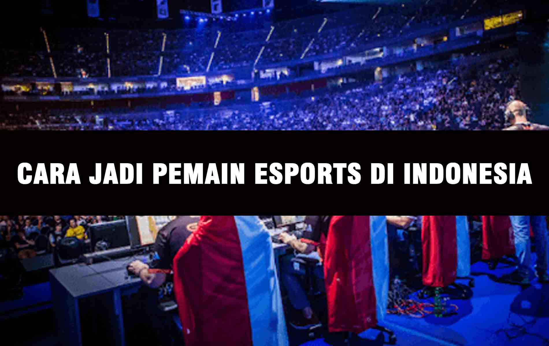 Cara Jadi Pemain Esports di Indonesia, Pahami Hal Ini!