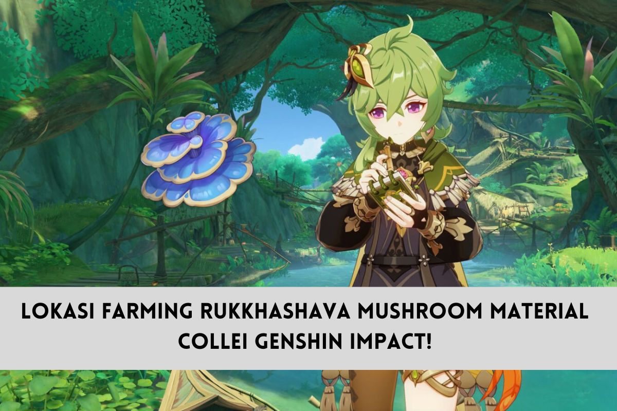 Lokasi Farming Rukkhashava Mushroom Material Collei Genshin Impact!